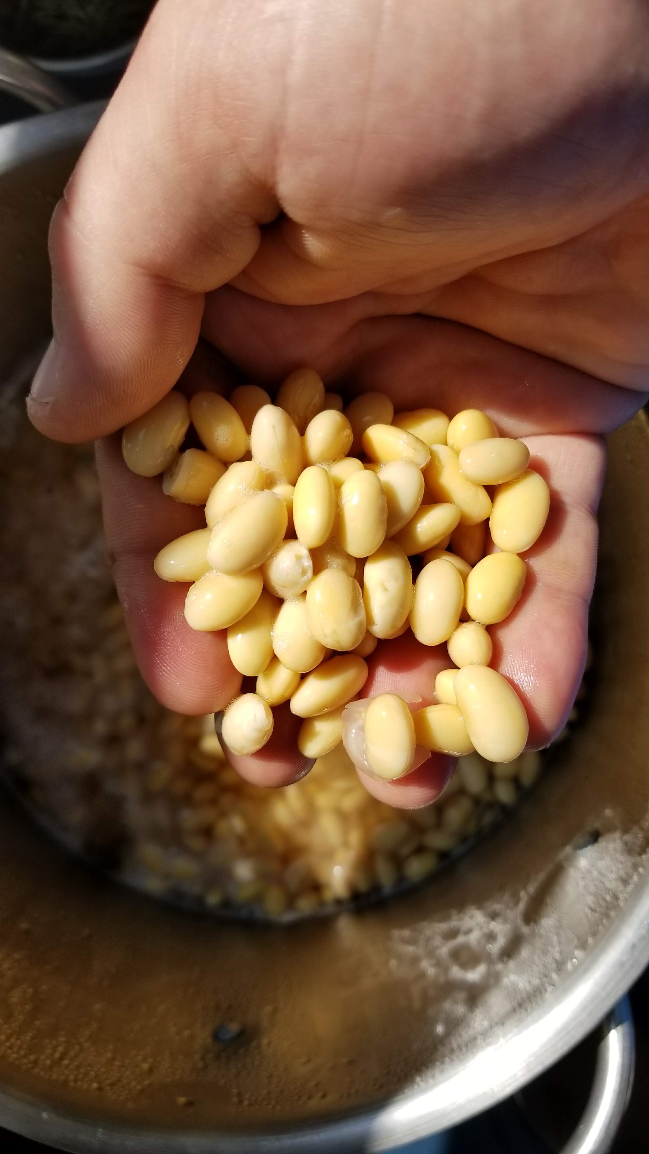 Homemade Soy Sauce – ANTHROCHEF