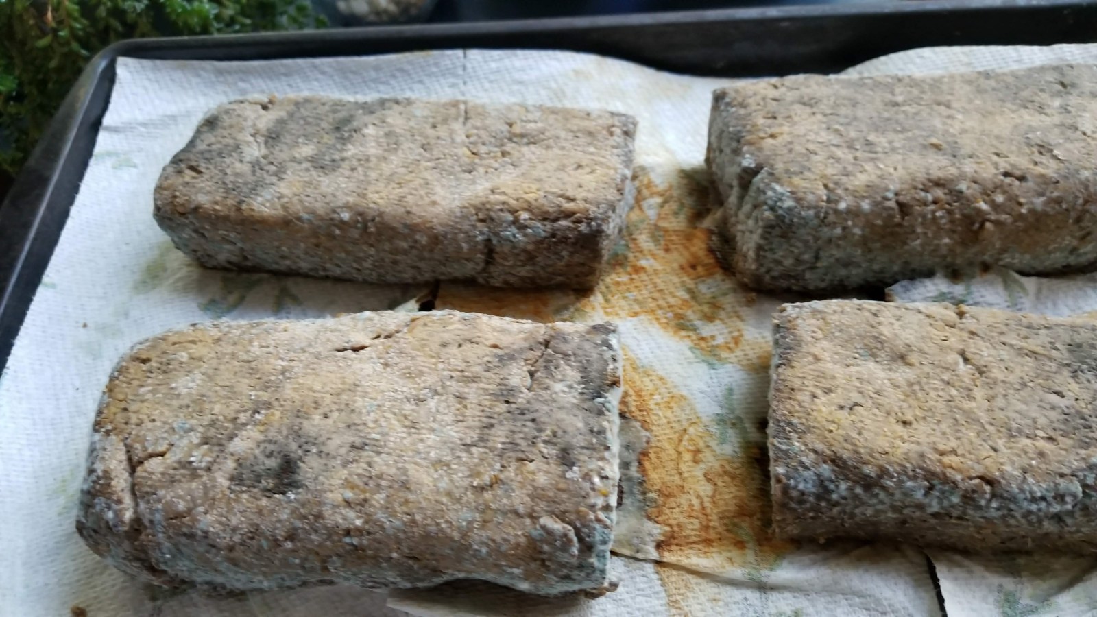 Homemade Soy Sauce – ANTHROCHEF